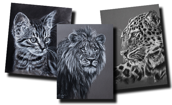 Charcoal painting samples | Lachri Fine Art
