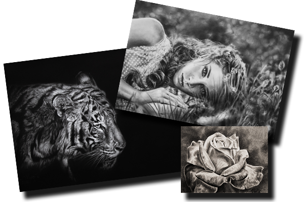 Graphite painting samples | Lachri Fine Art
