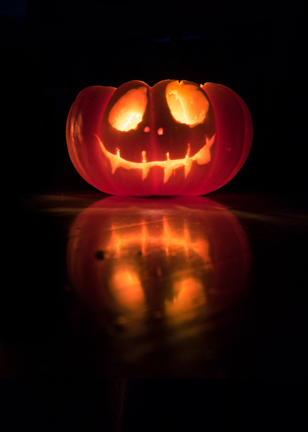 Jack O Lantern reference photo | Lachri Fine Art