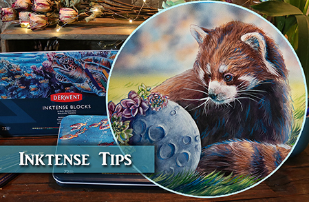 Derwent Inktense Painting Tips | Lachri Fine Art