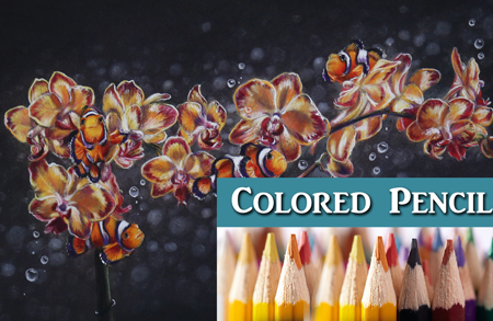 Colored Pencil Tutorial | Lachri Fine Art