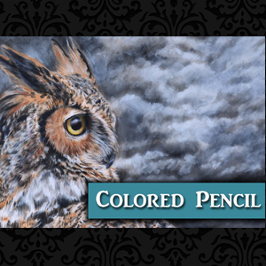 How to draw a Great Horned Owl in Colored Pencil | Lachri Fine Art