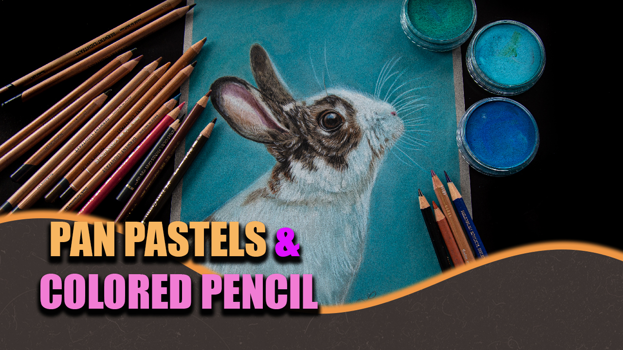 Draw a Bunny in Pan Pastels & Colored Penc | Lachri Fine Art