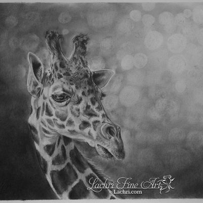 Products | Lachri Fine Art