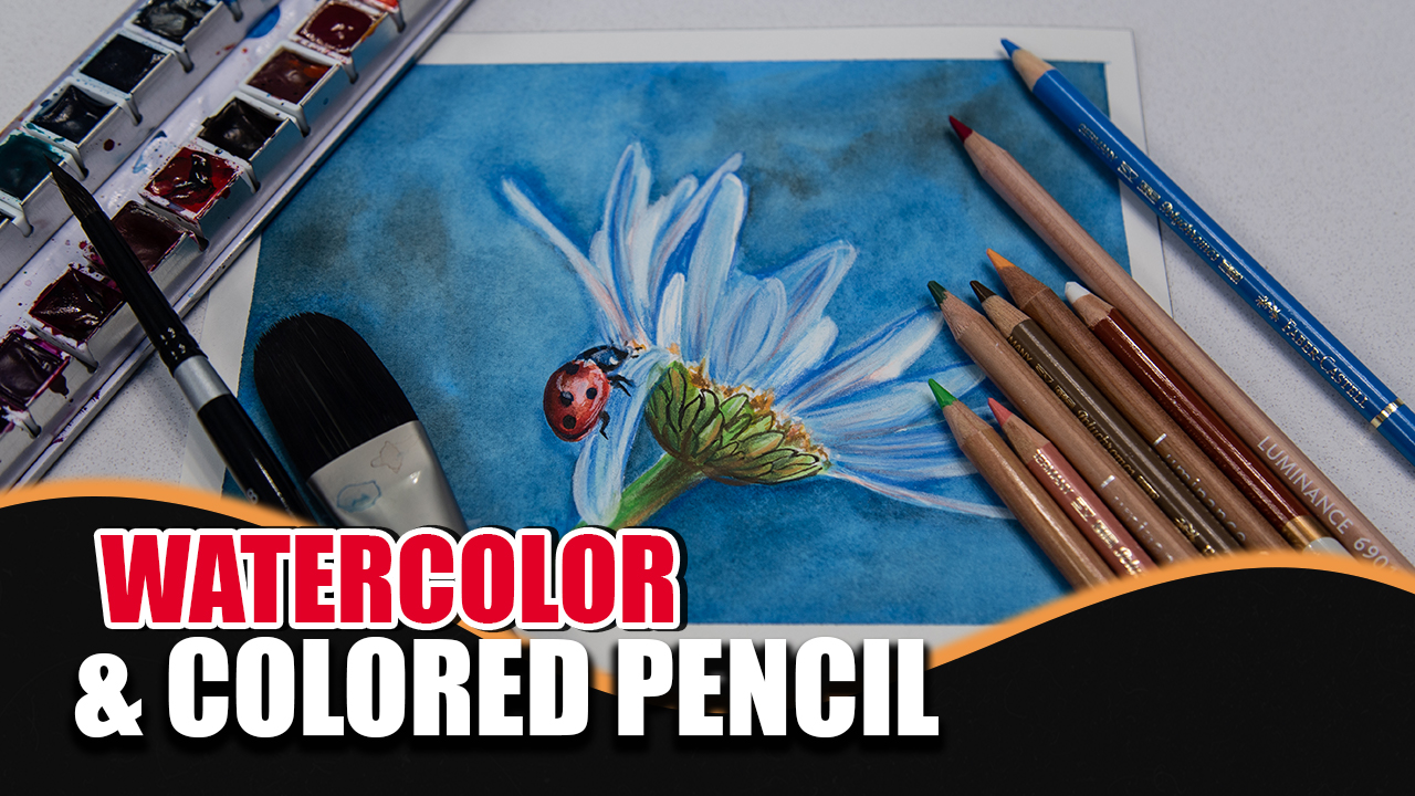 ladybug | Lachri Fine Art