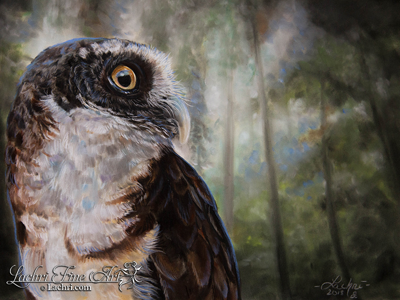 Gallery | Lachri Fine Art