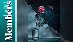 patreon rose thumbnail pt 2 em | Lachri Fine Art