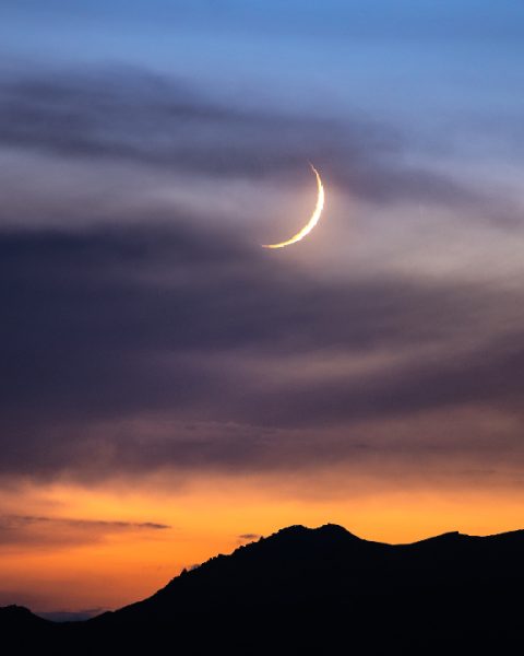 Crescent Moon Pan Pastel & Colored Pencil LIVESTREAM Reference Photo ...
