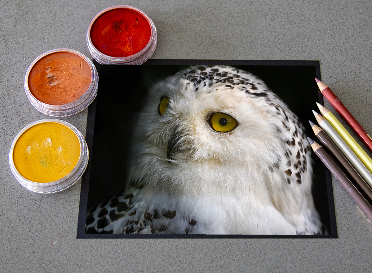 sample | Lachri Fine Art