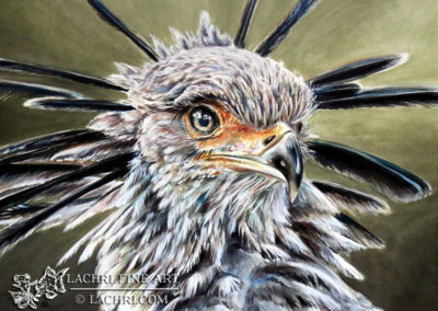 Gallery | Lachri Fine Art